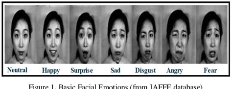 Figure 1 From Facial Expression Recognition Using Diagonal Crisscross Local Binary Pattern