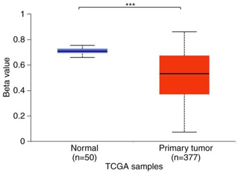 Data Mining Of The Expression And Regulatory Role Of BCAT1 In Hepatocellular Carcinoma