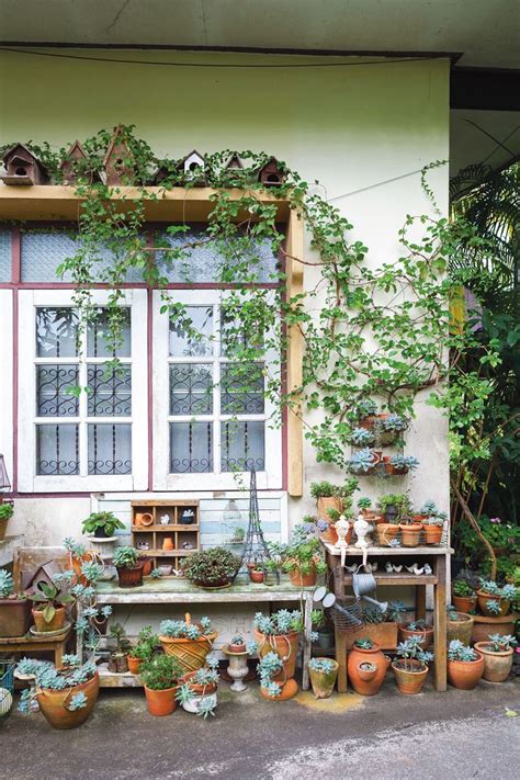 จัดสวนสวย ด้วยการผสมผสานสวนกระถางในสไตล์ชนบทไทย บ้านและสวน การออกแบบสวนผัก ไอเดียแต่งสวน