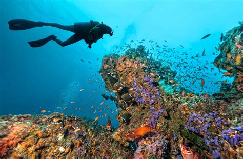 Raja Ampat Unadulterated Natural Paradise