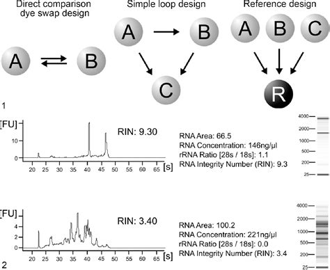 Figure 1 From Microarray Based Gene Expression Analysis For Veterinary