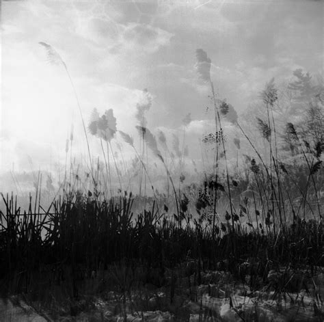 Gallery 44 Member Grace Wang