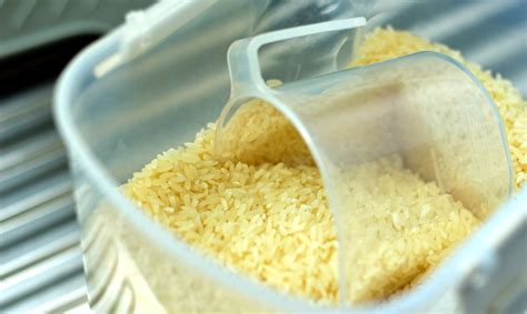 Is Rice Water Good For Plants