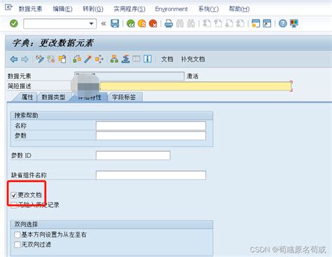 Sap Sap Csdn