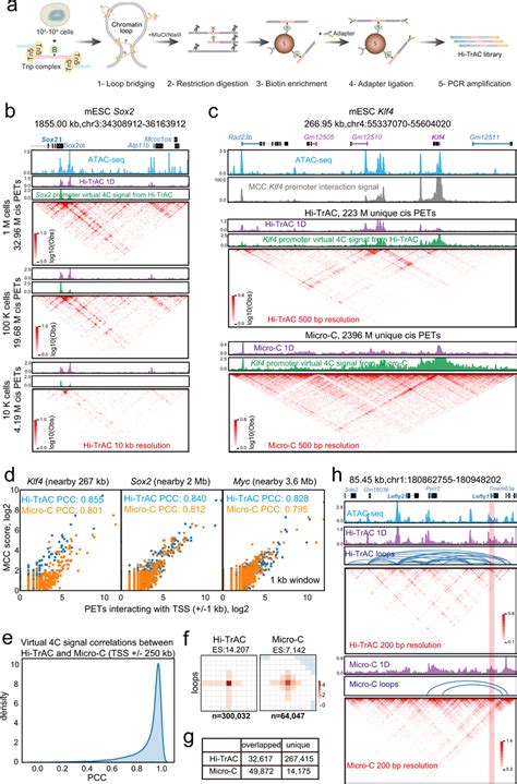 Mapping Genome Wide Regulatory Interactions At High Resolution By