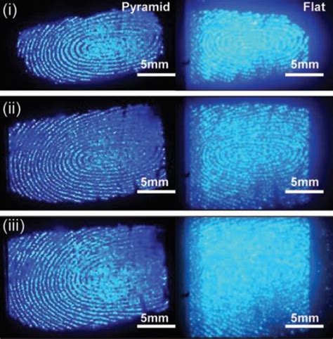 Skin Based Electronic Sensor Doubles As An Interactive Display