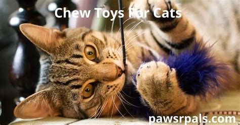 Chew Toys For Cats Paws R Pals