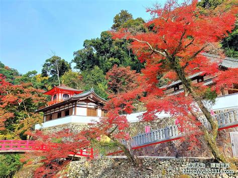 大阪賞楓景點 🍁分享日本大阪 人氣且優美的楓紅景點！👍😊 日本旅遊板 Dcard