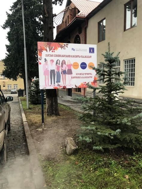 Woman And The World ქალაქ ბოლნისში პროექტის ქალები და სამოქალაქო აქტიურობა გარემოს დასაცავად