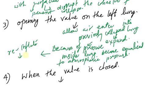SOLVED Texts Experiment Effect Of Surfactant 1 Identify The Cells