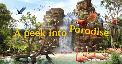Mandai Park Opens Immersive ‘bird Paradise Indoconnect Singapore