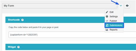 How Can I See My Old Form Entries CaptainForm