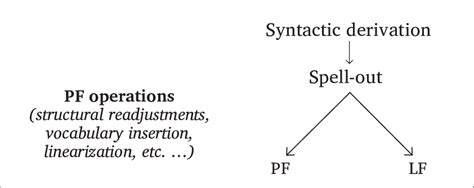 Distributed Morphology Architecture Download Scientific Diagram