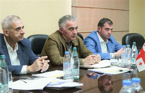 საქართველოს საქართველოს რეგიონული განვითარების მინისტრმა კახაბერ გულედანმა კახეთის რეგიონში