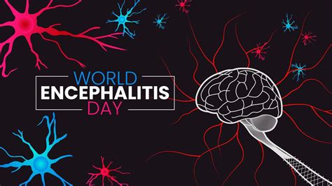 World Encephalitis Day Awareness Banner 55571520 Vector Art At Vecteezy