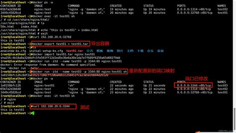 【云原生】docker的端口映射、数据卷、数据卷容器、容器互联容器端口映射 Csdn博客