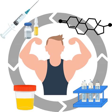 Hcg In Post Cycle Therapy Optimizing Recovery After Steroid Use
