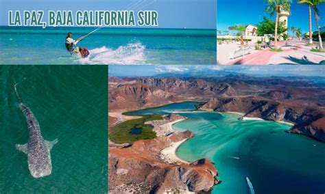 Qué Hacer En La Paz Baja California Sur Travel Report