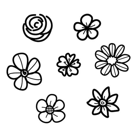 Ensemble De Fleurs Dessinées à La Main Vecteur Premium