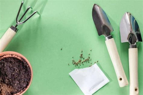 Lawn Fertilization How Often Should You Fertilize Your Lawn