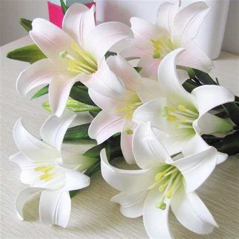 белые лилии: 43 тис. зображень знайдено в Яндекс.Зображеннях | Plants ...