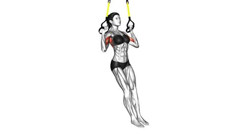 Master The Suspender Self Assisted Pull Up Female Video Guide And Tips