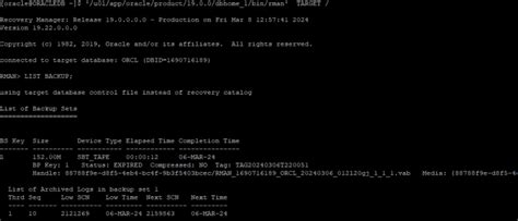 Veeam Plug In For Oracle Rman Managed Mode Vinfrastructure Blog