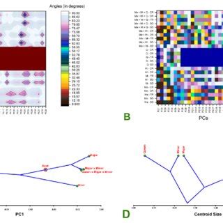 A Vector Comparison Angle Analysis B P Value Of Vector Angles From Download Scientific