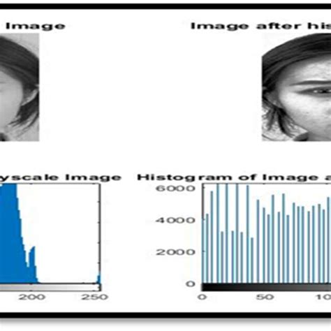 Histogram Equalization Effects Download Scientific Diagram