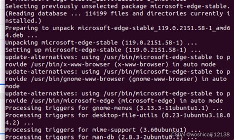 Ubuntu上安装edge浏览器package Libvulkan1 Is Not Installed Csdn博客