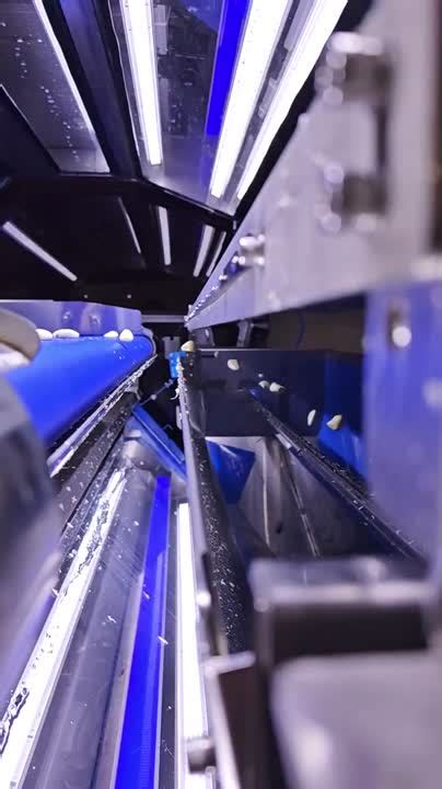 Been Cui Color Sorter On Linkedin Garlicsorting Innovation Efficiency