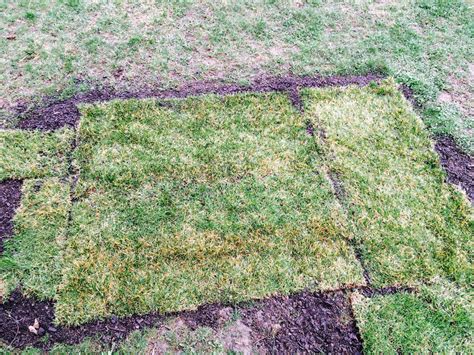 Fnaf 4 Map Layout Confirmed By My Lawn By Brinxyy On Deviantart