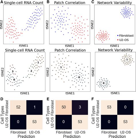 Patch Correlation And Gene Neighborhood Network Variability Achieve Download Scientific Diagram