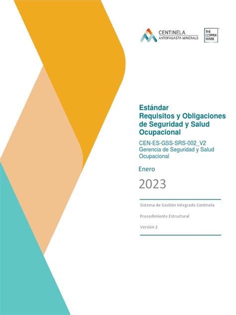 Cen Es Gss 002v2 Estándar De Requisitos Y Obligaciones De Ssov2 Pdf Seguridad Y Salud