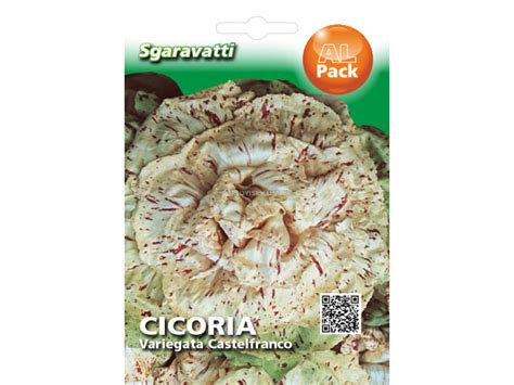 Семена Цикория (Chicory) Variegata`SG | Салати и листни зеленчуци ...