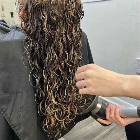 Diffusing Hair Choosing Between Heat And No Heat Methods Salon San