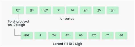 radix sort expert mentoring customized solutions
