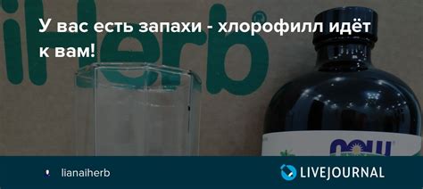У вас есть запахи - хлорофилл идёт к вам!: herbomania — LiveJournal