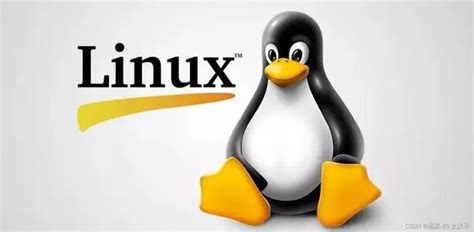 【linux】error Failed To Initialize Nss Library Csdn博客