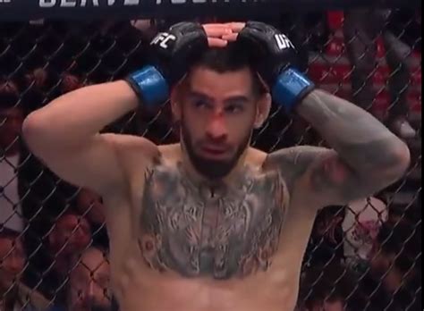 Mma V P Gina Mediavida