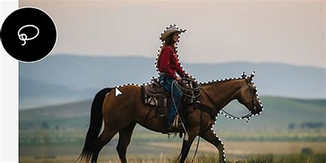 How To Use The Lasso Tool In Photoshop Adobe