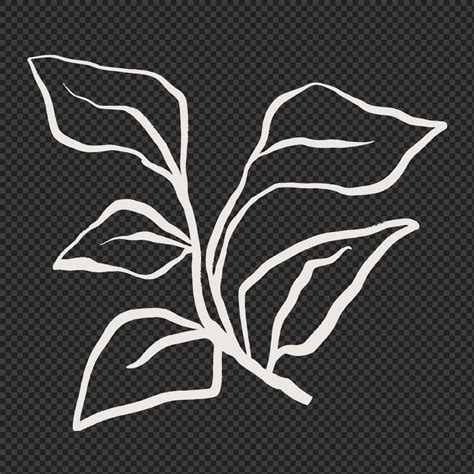 Nude Aesthetic PNG Images Free Photos PNG Stickers Wallpapers Backgrounds Rawpixel
