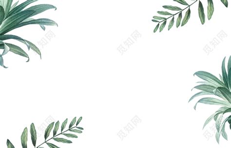 矢量各种树叶边框夏天叶片边框免抠图图片素材免费下载 觅知网
