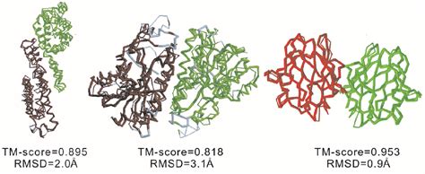 figure 1 2 from structural modeling of protein protein interactions using multiple chain