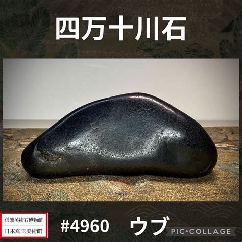 Yahooオークション 【今年最後の大感謝祭】水石盆栽 四万十川石 ウ