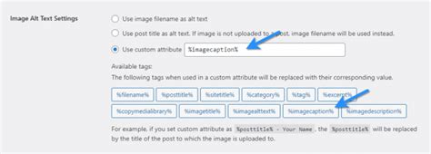 Use Image Caption As Alt Text Automatically Image Attributes Pro