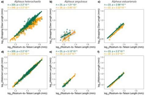 Snapping Claw Length And Abdomen Length Increased With Download