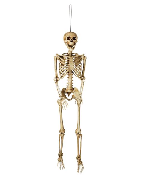 Hanging Decayed Skeleton Spirit Halloween Wikia Fandom