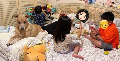 一次應付3個小孩！ 崩潰狗保母快累翻「皺眉臉超臭」：開學了沒 Ettoday寵物雲 Ettoday新聞雲
