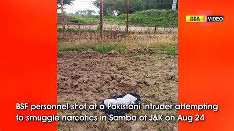 Pakistani Intruder Shot At By Bsf Personnel In Jandk Smuggling Bid Foiled